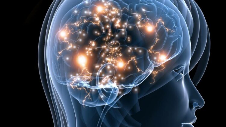 Neuroplasticity Expert Explains Theory of Brain Retraining, Chronic ...